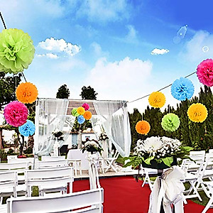 Livder Paper Flowers Bright Colorful Tissue Paper Pom Poms for Party Birthday Wedding Christmas Festive Decorations, 15 Pieces of 10, 12, 14 Inch