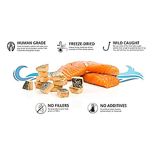 IMK9 Freeze Dried Salmon Dog Treats – High Value Training, High Protein, Natural Omega 3-6 Fish Oil – Wild Caught – 100% Pure Fish with Skin – Single Ingredient, Gluten, Grain Free – Made in The USA