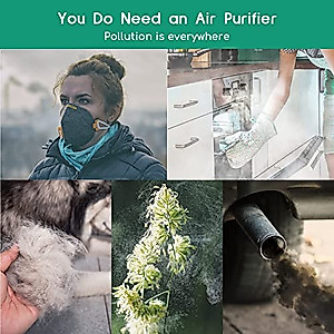 Air Purifier For Home Up to 880 Ft²|24dB|3-Stage Filtration Air Purifiers|Air Cleaner Removes Pet Odors Dust Pollen Smoke Mold|Fragrance