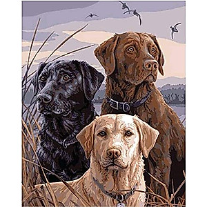 JFYHAB 5D Diamond Painting Kit for Adults Beginner, Dogs Full Drill Diamond Art Rhinestone Painting with Diamonds Pictures Arts and Crafts for Home Wall Decor 12 x 16 inch