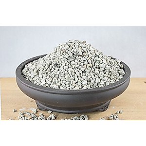 3 Gal. 3/16" Small Grain Horticultural Pumice for Cactus & Succulent, Bonsai Tree Soil Mix
