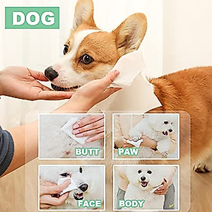 Air Jungles Pet Grooming Wipes for Dogs and Cats 100 Count, 8" x 10" Extra Large Plant-Based Earth-Friendly Hypoallergenic Deodorizing Pet Wipes for Paws Body Face Ear Butt