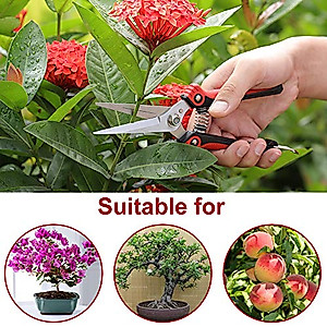 WYF Pruning Scissors, Professional Garden Shears - Straight Stainless Steel Blades - Sharp Gardening Hand Pruner for Garden Harvesting Fruits, Vegetables, Trimming Flowers and Plants, 8.1IN(Red)