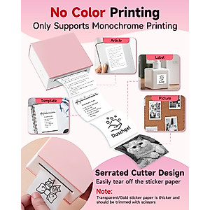 Memoking Inkless Bluetooth Printer Wireless - 2" Thermal Mini Printer Portable Photo Printer - M02 Sticker Printer Machine for Pad&Phone, HD Mini Sticker Maker Machine Printer for Memos,Sticker,Photos