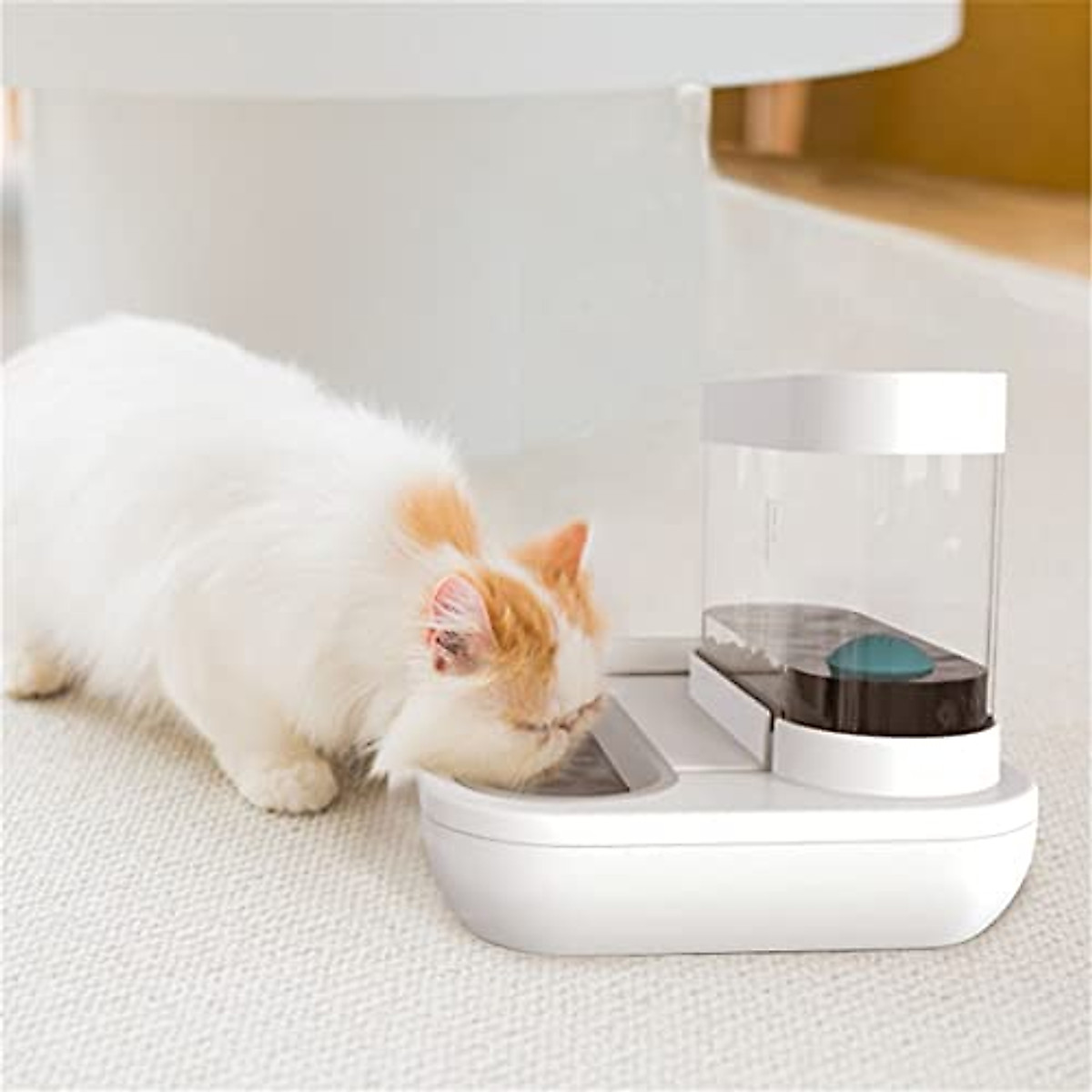 ZLXDP Pet Cats Bowl Dog for Cats Feeder Transparent Bowls Kitten Automatic Drinking Fountain 1.5L Capacity Puppy Feeding Waterer (Color : Blue)