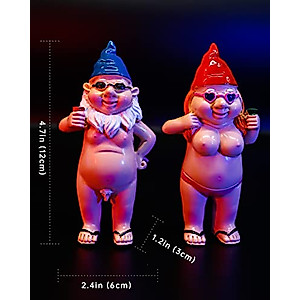 BBdis 2 PCS Naked Gnomes Statues, 4.7 Inch Naughty Garden Gnome Funny Statue for Home Indoor or Outdoor Lawn Gnome Decorations Housewarming Garden Gift (Man and Woman)