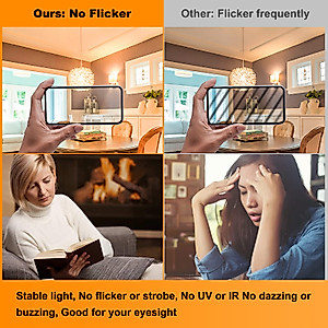 A15 Ceiling Fan Light Bulb 60 Watt Equivalent, 6.5W Dimmable LED Light Bulbs, 2700K Warm White, E26 Base, 4 Pack A15 LED Light Bulbs 60W for Pendant, Hallway Fixtures, 600LM