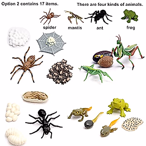 Animal Life Cycle Process Model, Frog, ant, Spider, Mantis Teaching aid Modeling Toys (Second Set of Packages (17 Pieces)