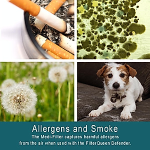 FilterQueen Defender Air Purifier Replacement Filter Bundle, Medi-Filter and Charcoal Pre-Filter Wraps