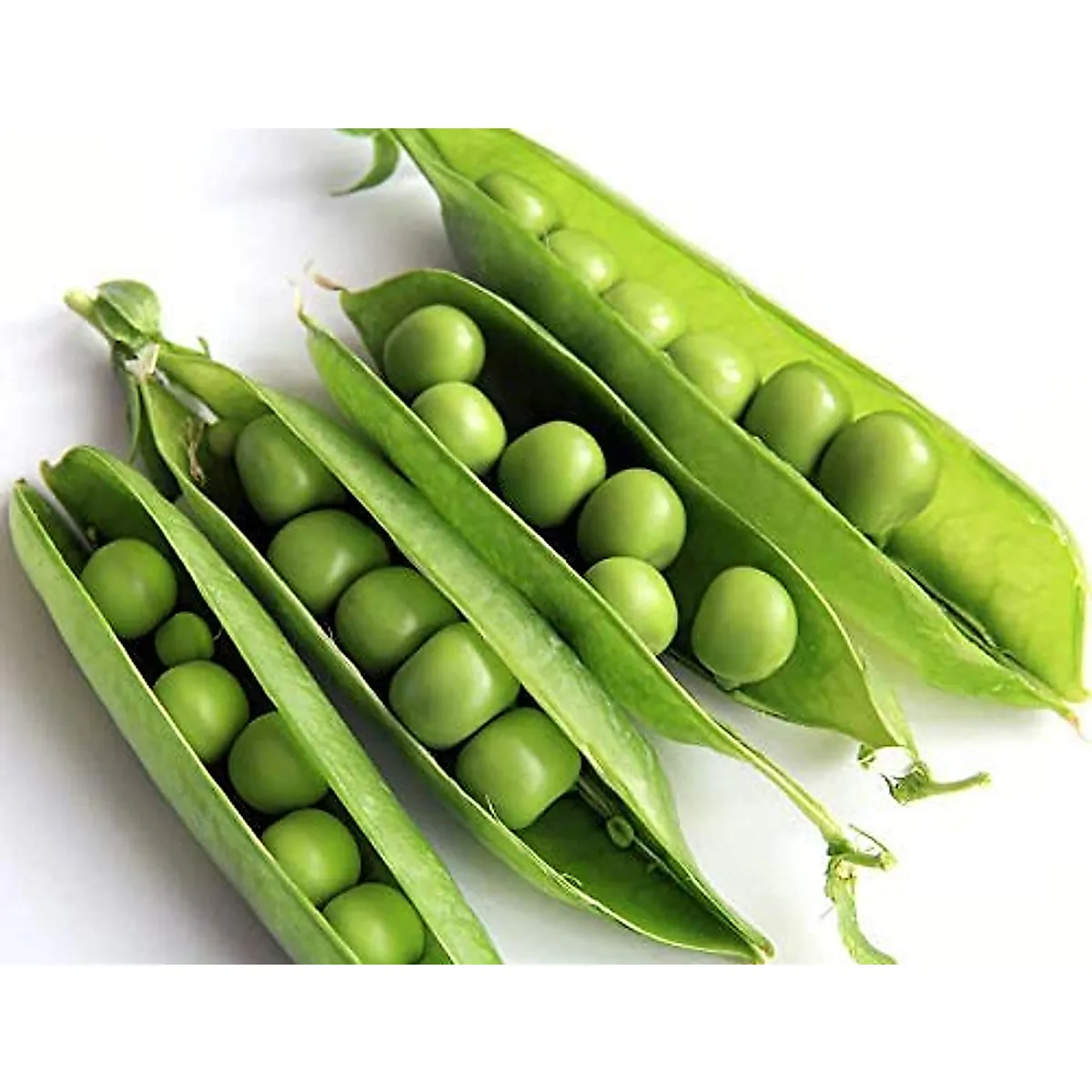 Lincoln Garden Pea Seeds for Planting, 50+ Heirloom Seeds Per Packet, (Isla's Garden Seeds), Non GMO Seeds, Botanical Name: Pisum sativum, Great Home Garden Gift