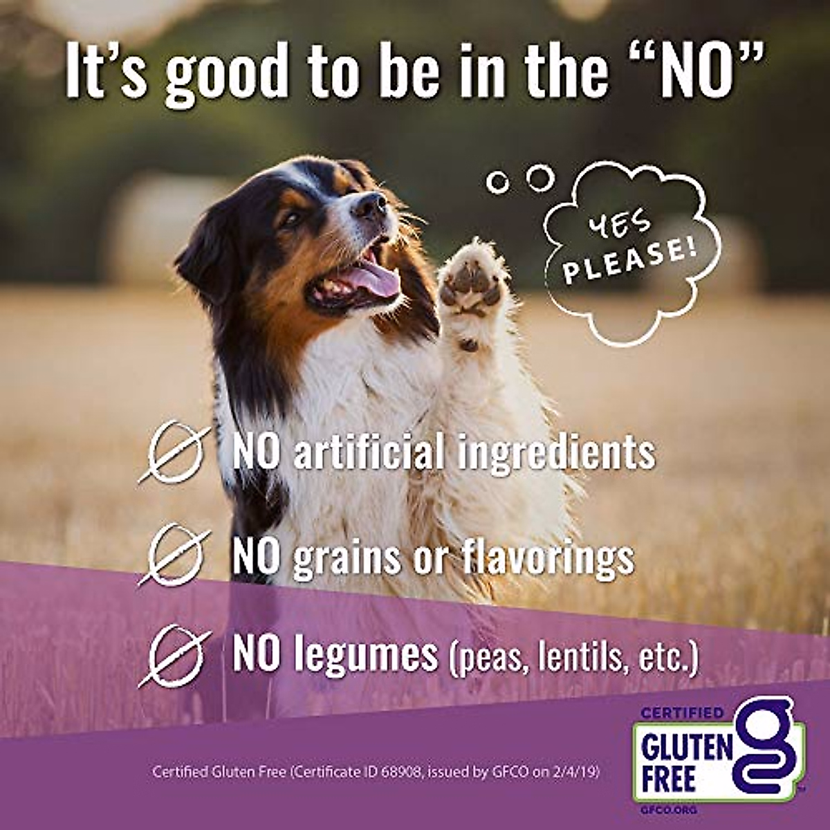 Vital Essentials Freeze Dried Dog Food, Beef Nibblets 16 oz