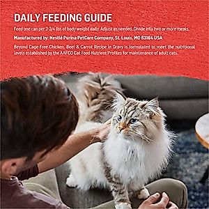 Purina Beyond Cage-Free Chicken, Beef and Carrot Recipe In Wet Cat Food Gravy - (12) 3 Oz. Cans