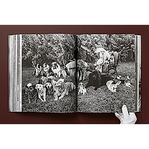 The Golden Retriever Photographic Society