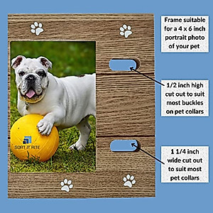 Sort it Rite Dog Memorial Picture Frame - Perfect Loss of Dog Gift, Ideal Pet Memorial Gift for Dogs & Cats, Special Pet Memorial Picture Frame with Heartfelt Quote, Holds 4x6 Photo (Natural)