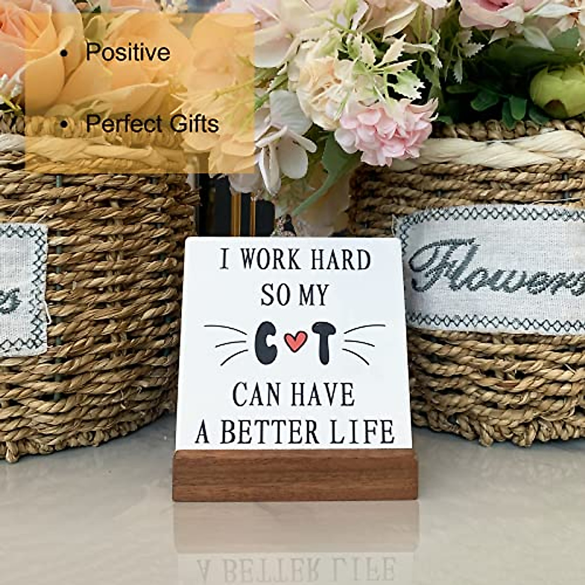 QiCHo Inspirational Sign For Desk, Fun Office Decorations, Gifts For Cat Lovers, Novelty Birthday Gifts, Office Positive Plaque, Xmas Present - I Work Hard So My Cat Can Have A Better Life, With Wooden Stand