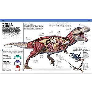 Knowledge Encyclopedia Dinosaur!: Over 60 Prehistoric Creatures as You've Never Seen Them Before (DK Knowledge Encyclopedias)