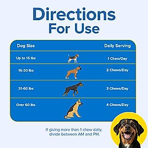 Dog Hip and Joint Supplement, 60 Soft Chews with Glucosamine, Chondroitin, MSM & Green-Lipped Mussel, Supports Mobility & Joint Health - Vet-Formulated Glucosamine for Dogs Small & Large Breeds