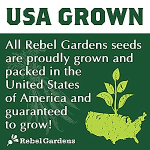 Organic Garden Greens Vegetable Seeds - 8 Varieties of Heirloom, Non-GMO Salad Green Seeds - Lettuce, Arugula, Swiss Chard, Kale, and Spinach