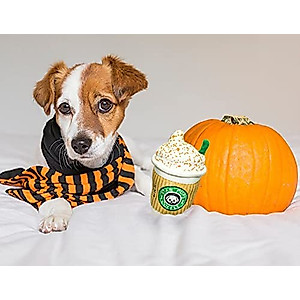 Parody Star Pups Coffee Dog Toy Pup'kin Spice Latte - Fall Funny Parody Plush Squeaky Holiday Toys for Medium, Small and Large - Cute Gifts for Dog Birthday - Cool Stuffed For All Breed Sizes