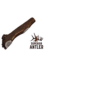 1- Large Split, Single Pack – All Natural Premium Grade A. Antler Chew. L=5-9” Naturally Shed, Hand-Picked, and Made in The USA. NO Odor, NO Mess. Guaranteed Satisfaction. for Dogs 30+ LBS