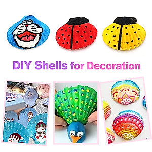 LUCKY BABY Seashells Painting Kit for Kids 16pcs, Arts and Crafts Kits for Girls Boys Age 6 7 8 9 10 11 12, Natural Sea Shells DIY Painting with Watercolor Paints and Brush 2.7-3.5 Inches