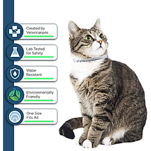 Flea and Tick Collar for Cats - Offers 12-Month Protection, Crafted with Premium Plant Oils, Waterproof, Natural, Safe for Kittens, Includes Free Comb and Tweezers, 13.8 in (2 Packs)