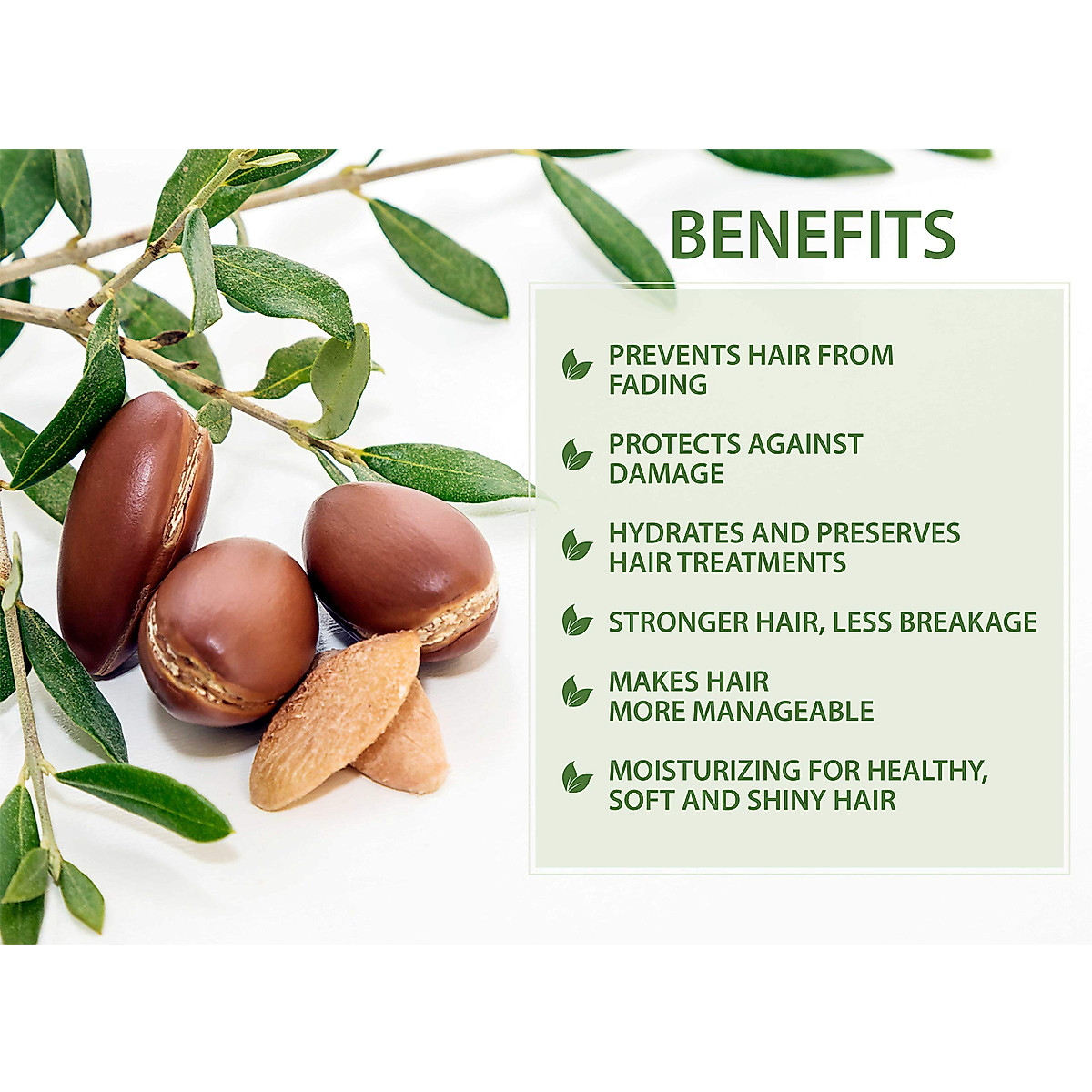 LuxeOrganix Moroccan Argan Oil Shampoo - SLS Sulfate Free, Keratin & Color Safe - Solon Grade Moisturizing Anti-Frizz Formula (16 oz Single Shampoo)