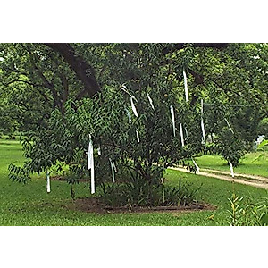 GOETOR Bird Scare Tape Ribbon Flash Double Sided Reflective Ribbon 298 Feet