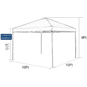 Blissun 10 x 10 Ft Outdoor Portable Pop-Up Canopy Tent with Roller Bag (Blue)