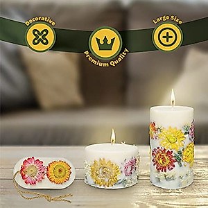 Vionami Aloha Kiwi Passionfruit Scented Candles Gift for Women - Gift-Boxed Scented Pillar Candles Set for Home Decor - Hand Poured Soy Wax Candles with Paper Core Wick and Dried Flowers