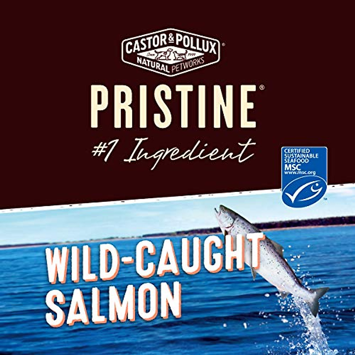 Castor & Pollux Pristine Grain Free Wild-Caught Salmon Recipe Morsels in Gravy Cat Food Pouches, (24) 3oz cans