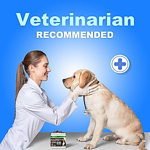 HEYISME Dog Allergy Relief Chews, Itch Relief and Probiotics for Dogs, Fish Oil Omega 3, Seasonal Allergies, Itchy Skin Relief, Anti Itch Treats, Immune Health Supplement (Chicken, 120 Chews)