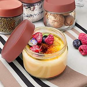 2 Pack 10 OZ Glass Food Jars with Screw Lids,Overnight Oats Container,Airtight Small Food Storage Container Leakproof Glass Container for Food Portion,Dipping Sauce,Snack(clear Finnish Red)