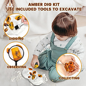 Amber Dig Kit - Excavate 9 Insects Specimens, Geology Science STEM Educational Bugs Toys for 6 7 8 9 10 11 12 Years Old Boys Girls, Gifts for Easter Christmas Birthday Halloween