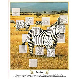 3 PACK Amazing Animal Puzzle Stickers 1,2 & 3