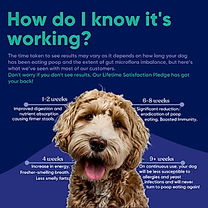 Vetrinex Labs Coprophagia Poop Eating Deterrent & Prevention, Stop & Prevent Stool Eating Treatment - Probiotics for Dogs, Cats and Puppies - Forbids Dog from Eating Poop - Probiotic Powder (120 GMS)