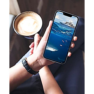 8 Pack Anti Dust Plugs for iPhone 14 Pro Max Mini 13 12 11 X Xs 8 Plus iPad AirPods + Mini Storage Box iPhone Charging Port Plugs, Black