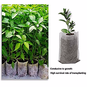 Augshy Grow Bags, 400pcs Biodegradable Plant Bags, Non-Woven Plants Nursery Bags, Seeding Bags, Fabric Seedling Pots Plants,Home Garden Greenhouse Supplies 11x11cm/4.54"x4.72"