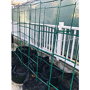 5ft 6-Pack Tomato Cage Support Green Garden Plant Sticks/Stakes for Climbing Plants, Vegetables, Fruit, Flowers