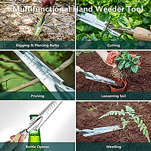 Berry&Bird Garden Tool Set, 4 PCS Stainless Steel Heavy Duty Gardening Tool Kit Includes Hand Trowel, 5 in 1 Shovel, Pruning Shears and Hand Fork with Ash Wood Handle for Weeding Transplanting Digging