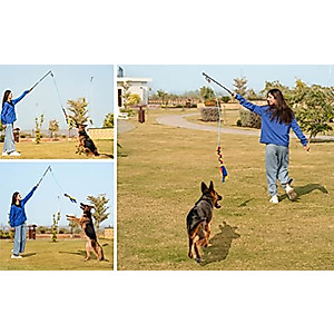 SMATICA Flirt Pole for Dogs - Interactive Dog Toys for Boredom & Stimulating – Lightweight & Sturdy Puppy Toys – Flirt Pole for Dogs Heavy Duty for Dog Training & Exercise (Not for Aggressive Chewers)