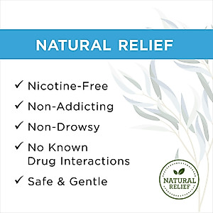 Hyland’s Quitter's Relief, Irritability, Gentle Relief for Smoking Cessation Symptoms, 100 Tablets