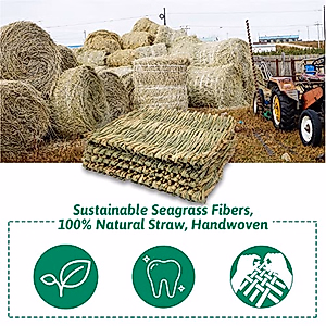 Grass Mat Woven Bed Mat for Small Animal 5 Grass Mats Bunny Bedding Nest Chew Toy Bed Play Toy for Guinea Pig Parrot Rabbit Bunny Hamster Rat