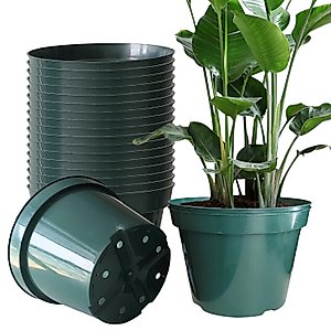 DAPERCI RooTrimmer 8 inches Nursery Pot Plant Grow Sturdy Flower pots in Bulk Price 20P