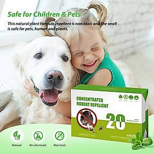 Homsor Rodent Repellent 20 Pack Natural Peppermint Oil Mouse Repellent Balls Pet Safe Mice Deterrent to Keep Rat Mice Mouse Rodent Out of Indoor House Outdoor Car Engines RV Garage Chicken Coop