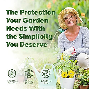 BugMD Sticky Bug Traps (12 Pack) - Indoor Fruit Fly Killer, Fungus Gnat Killer, Plant sticky traps for Bugs, Yellow Sticky Fly Traps for Plants, Gnat for Plants, Odorless