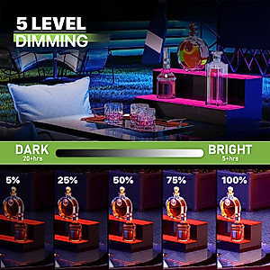 Magshion LED Wine Glass Shelf, 20" 2-Step Lighted Liquor Bottle Display Illuminated Bar Bottle Shelf with 20 Colors Changing, Home Kitchen Pub Nightclub Bar Trays for Liquor Display with Remote