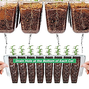 YOHIA Seed Starter Tray with Grow Light,2 Packs 80 Cells Seed Starter Kit,Seeding Starter Trays with Humidity Dome Germination Kit for Seedling Starting,Seed Growing,Cloning & Plant Propagation