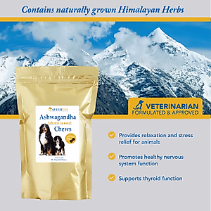 Ayush Pet Ashwagandha Calming Support Chews, Ayurvedic Calming Supplement for Dogs and Cats, Ashwagandha Herbal Supplement, 30 Chews