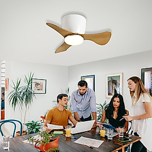 GESUM Flush Mount Ceiling Fans with Lights, 22'' Small Ceiling Fans Remote & APP Control, 3CCT Dimmable, Quiet DC Motor for Patio Kitchen Bedroom